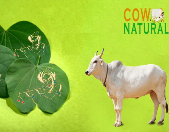 Home - Cow Natural